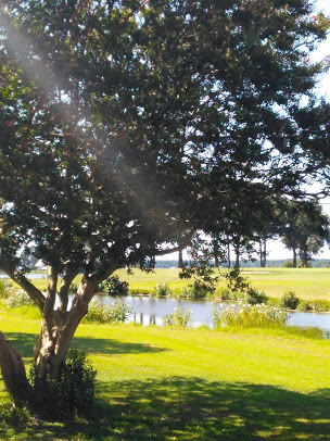 Eastern Shore Yacht & Country Club – Amazing Golf Course