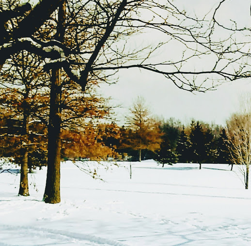 Grover Cleveland Golf Course – Amazing Golf Course