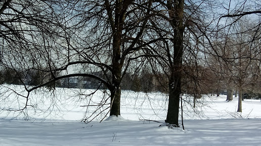 Grover Cleveland Golf Course – Amazing Golf Course