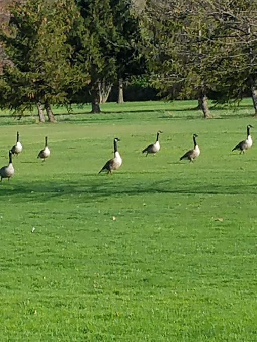 Grover Cleveland Golf Course – Amazing Golf Course