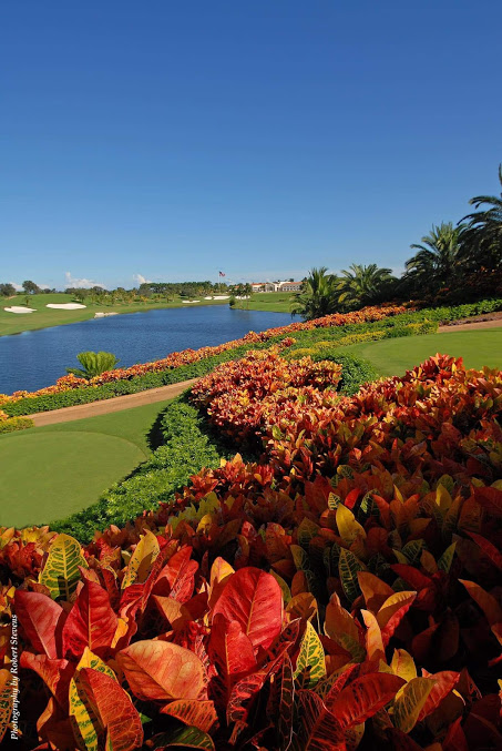 Trump International Golf Club West Palm Beach – Amazing Golf Course